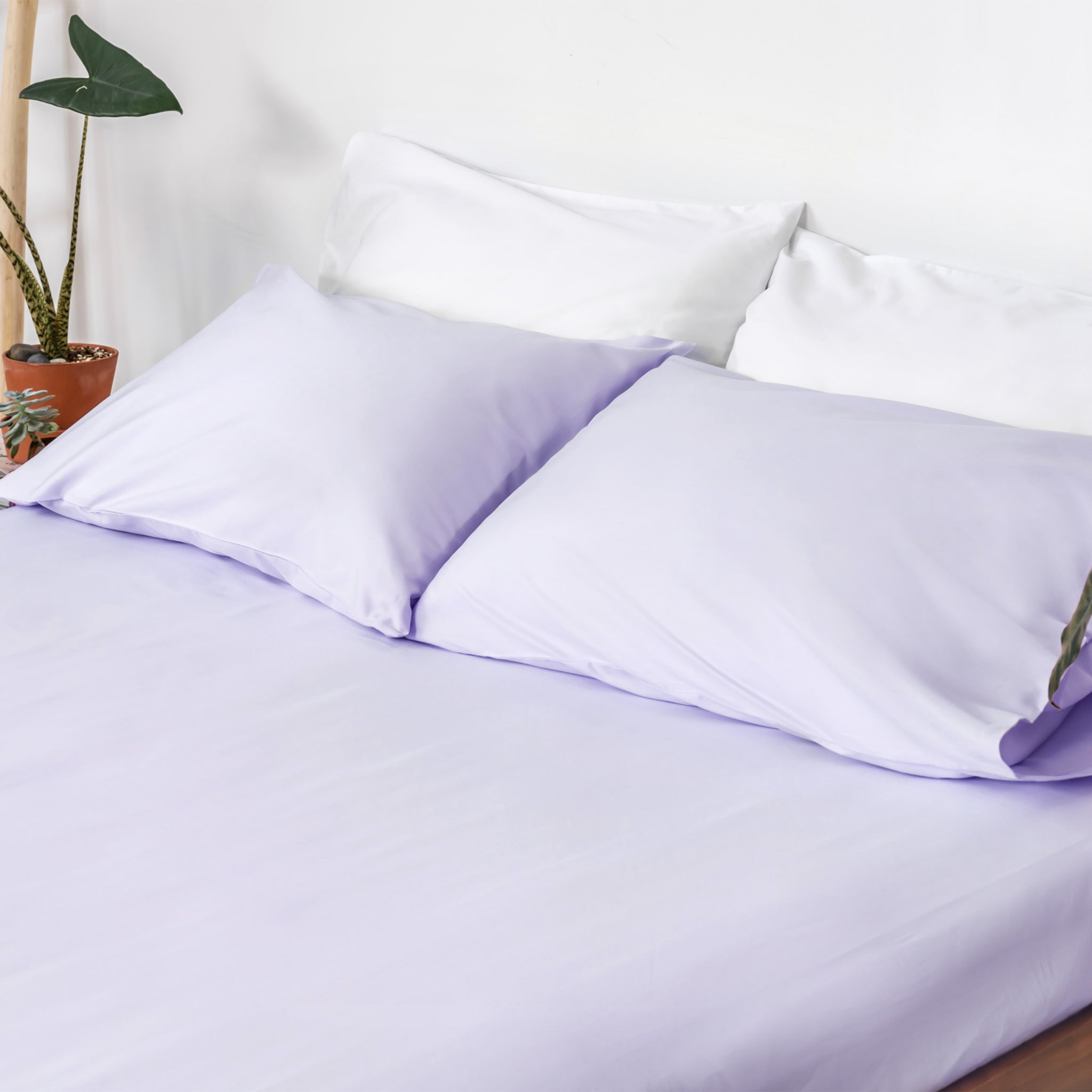 Classic Lilac Fitted Sheet | Organic Cotton Bed Sheets | SOJAO Singapore